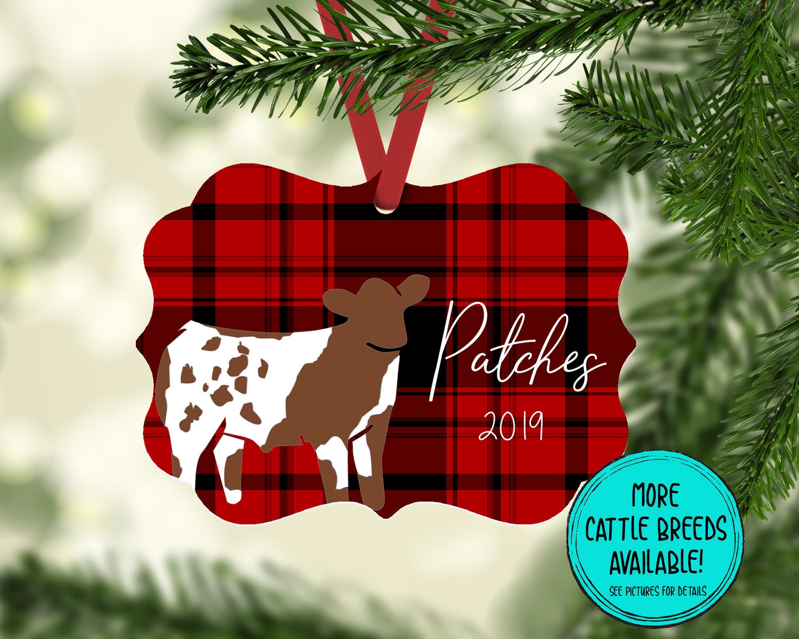 Show Steer Christmas Ornament, Show Cattle, Show Heifer, Livestock Show ...
