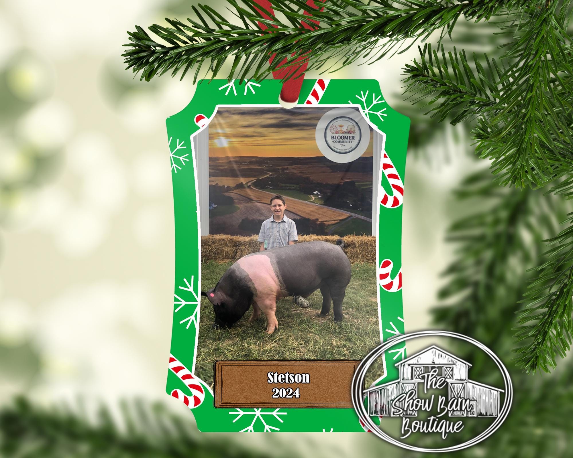 Personalized Show Pig Christmas Ornament, Show Swine Gift, Show Pig ...