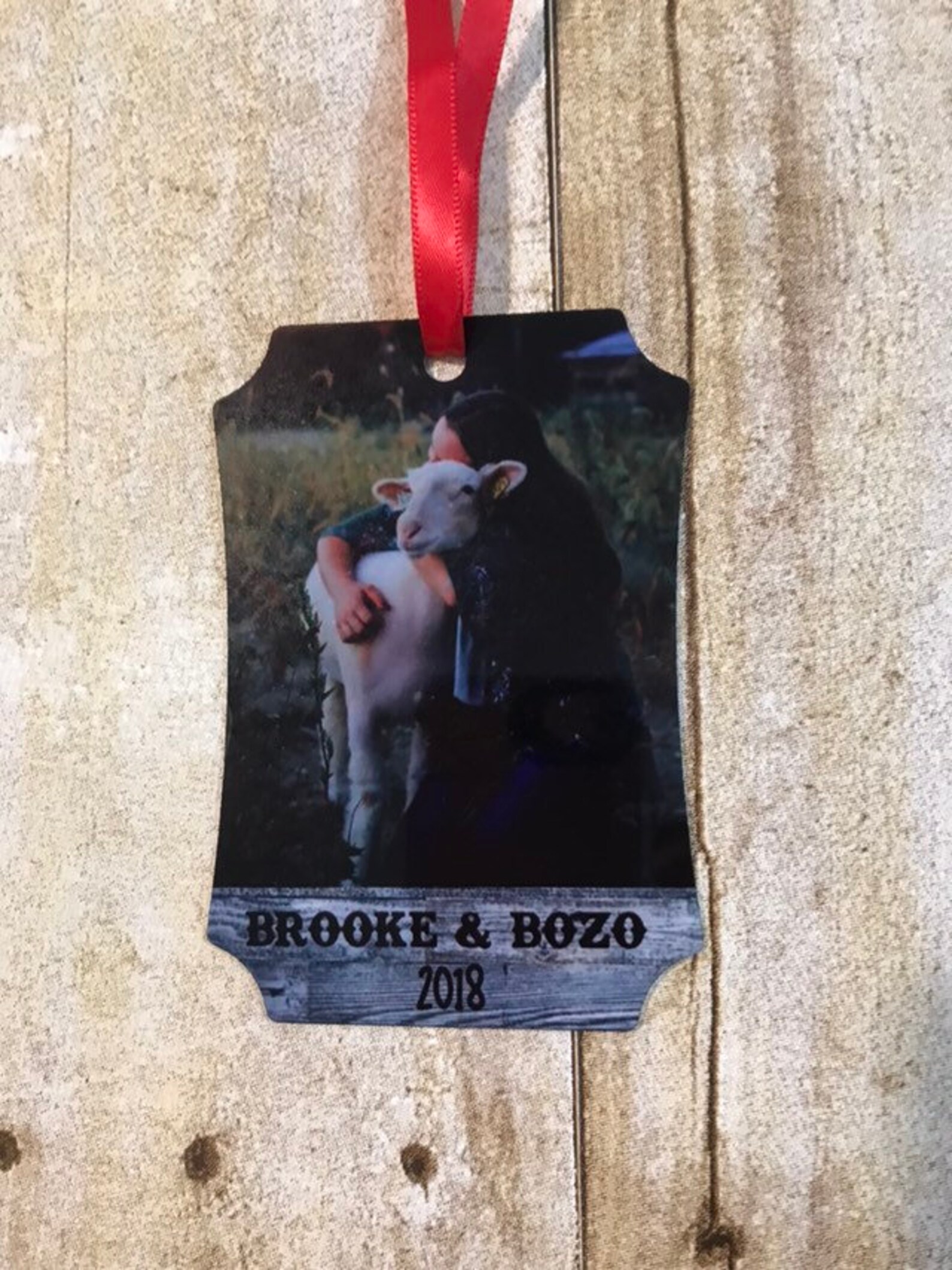 Personalized Show Pig Christmas Ornament Show Swine Gift | Etsy