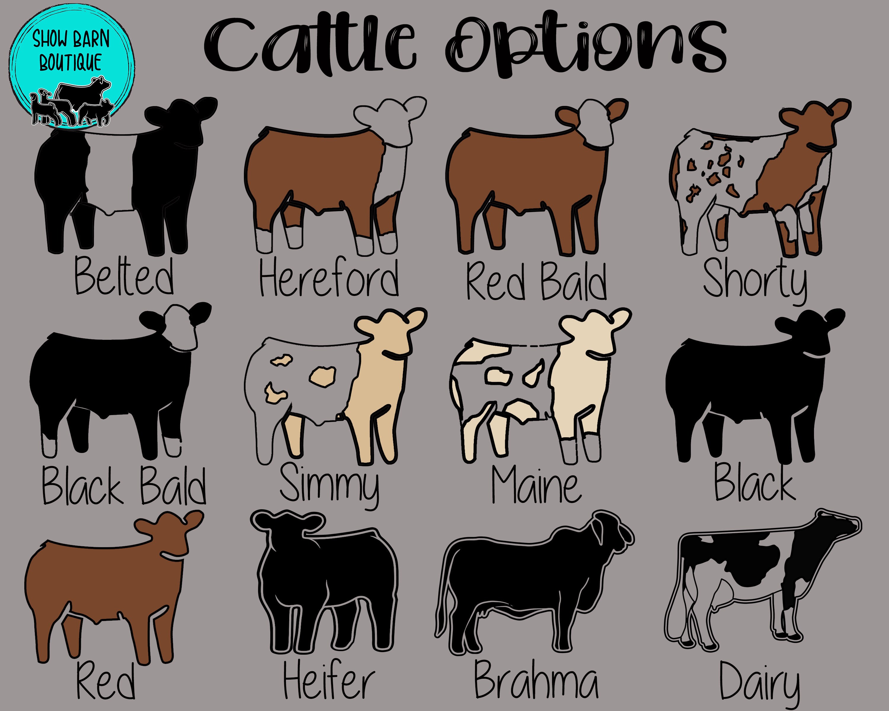 Show Steer Personalized Show Blanket Show Cattle - Etsy