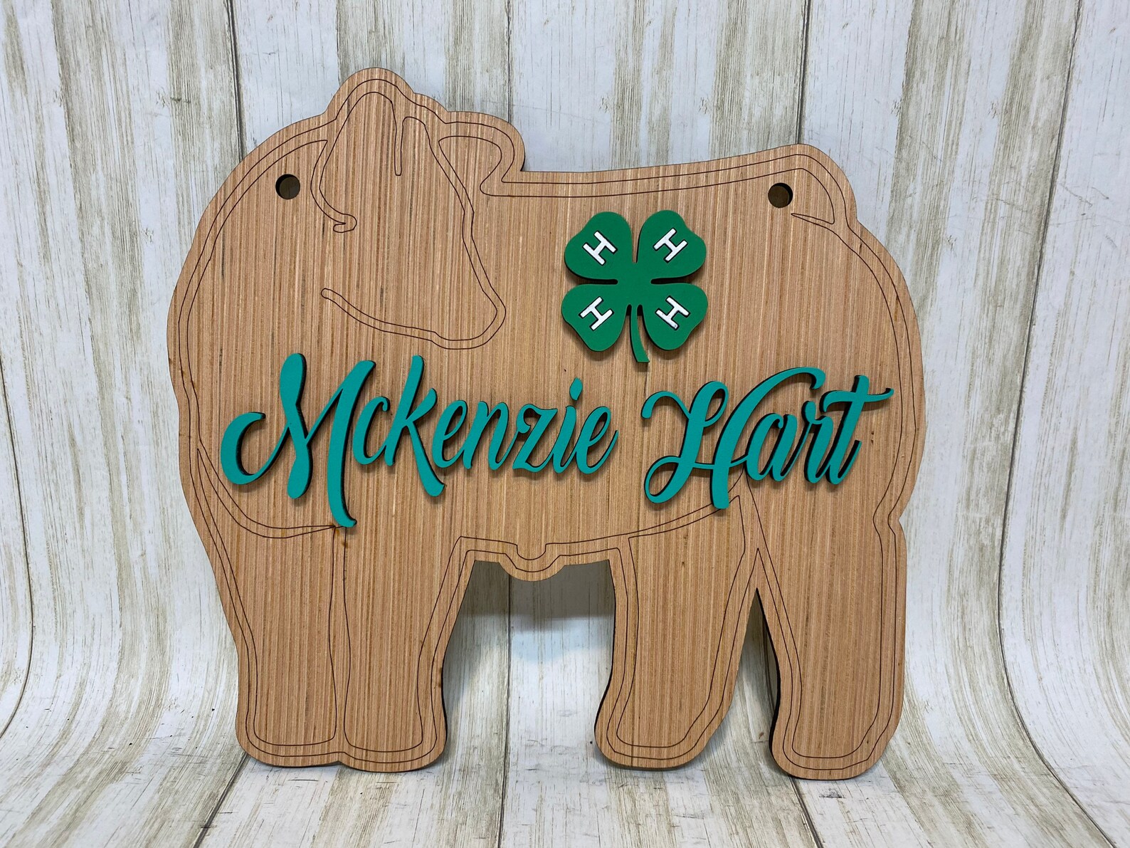 Show Steer Stall Sign Wood Livestock Show Sign With 3D Raised - Etsy