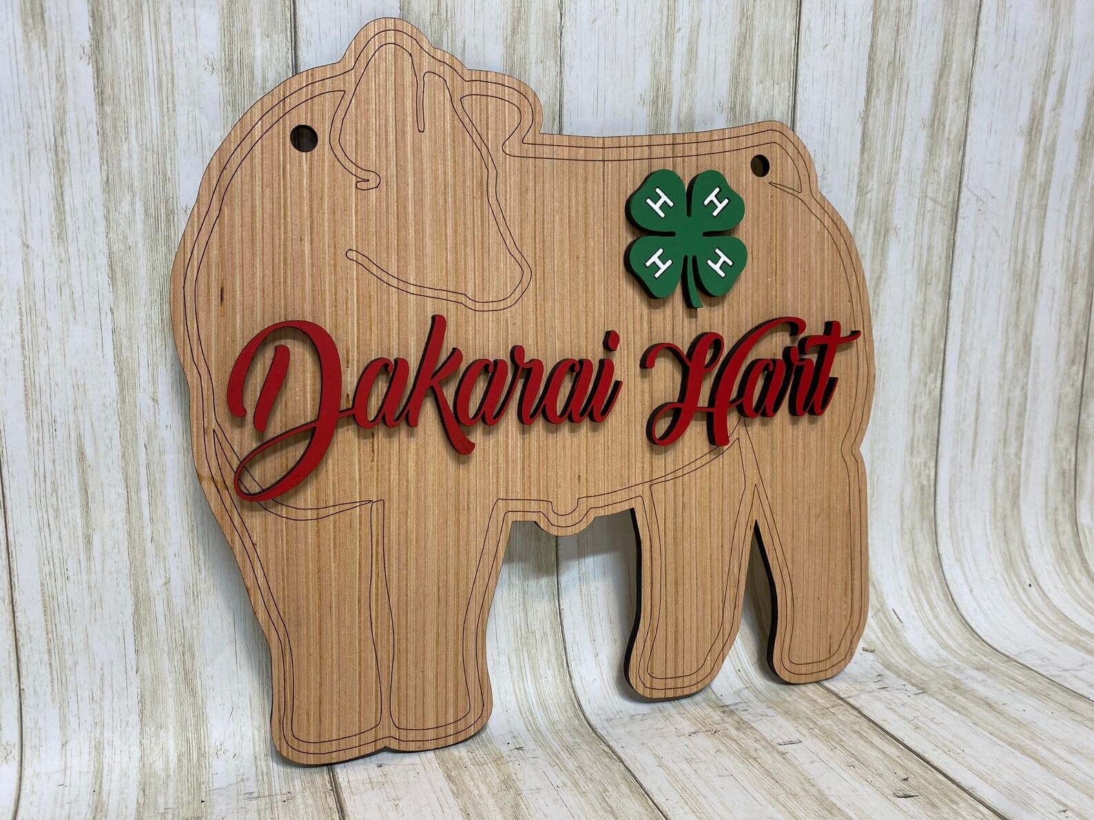 Show Steer Stall Sign Wood Livestock Show Sign With 3D Raised - Etsy