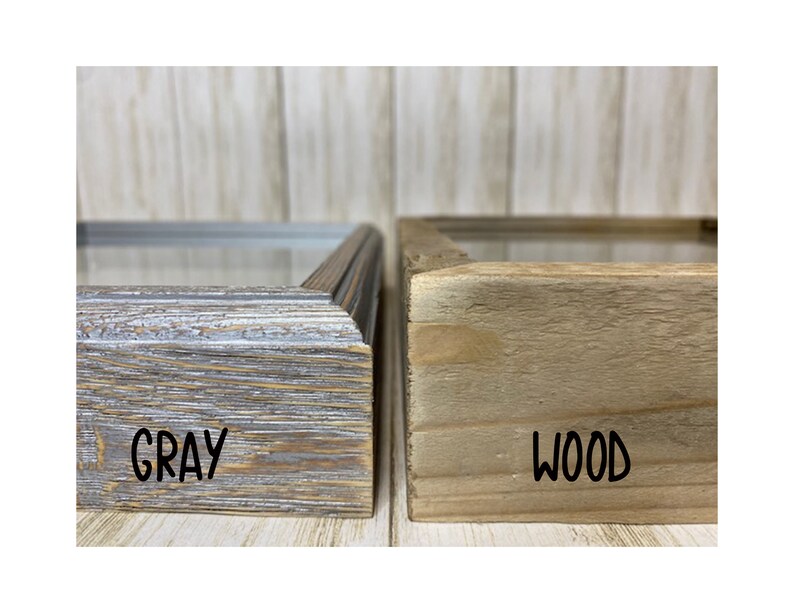 Show Heifer, Show Fund Box, Livestock Show, Personalized Show Heifer ...