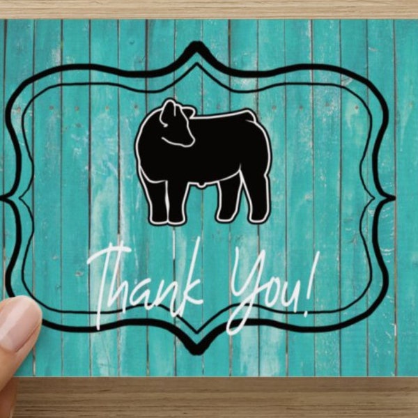 Show Cattle - Etsy