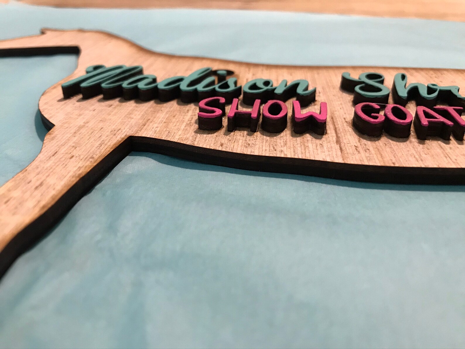 Show Goat Stall Sign Wood Livestock Show Sign With 3D Raised - Etsy