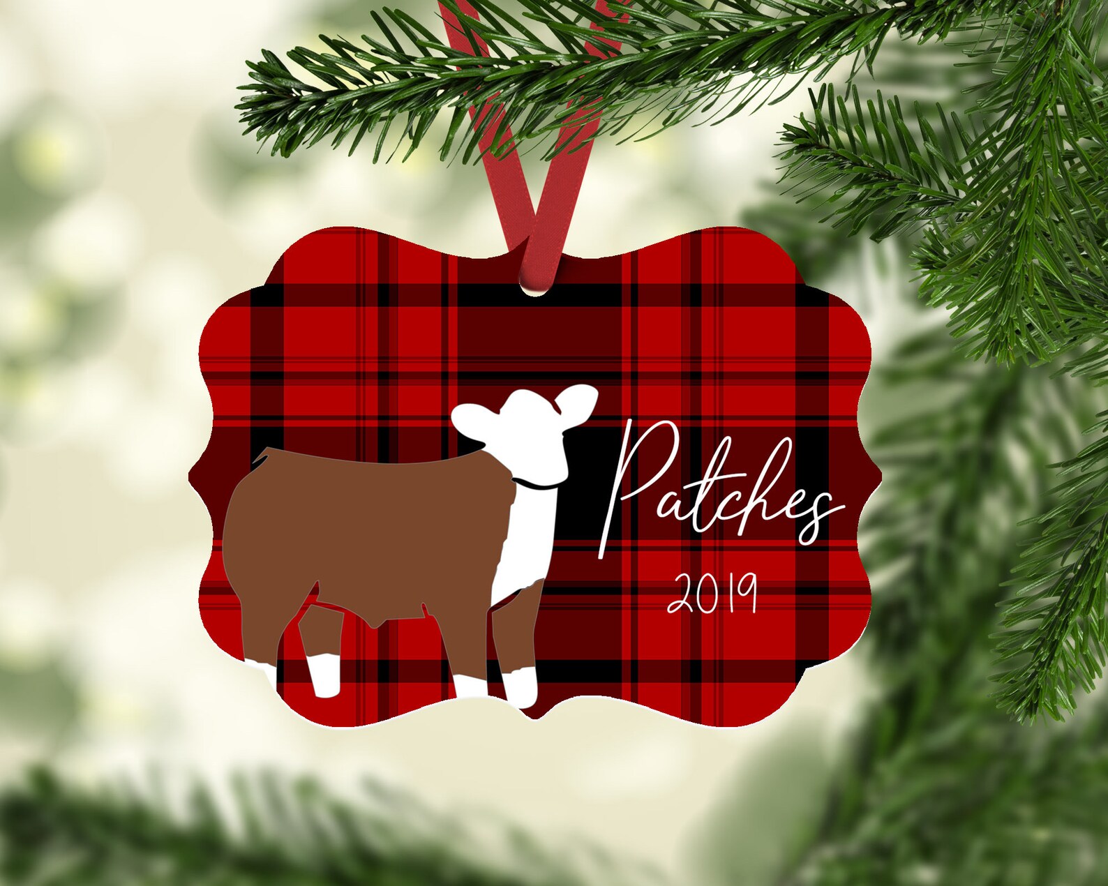 Show Steer Christmas Ornament, Show Cattle, Show Heifer, Livestock Show ...