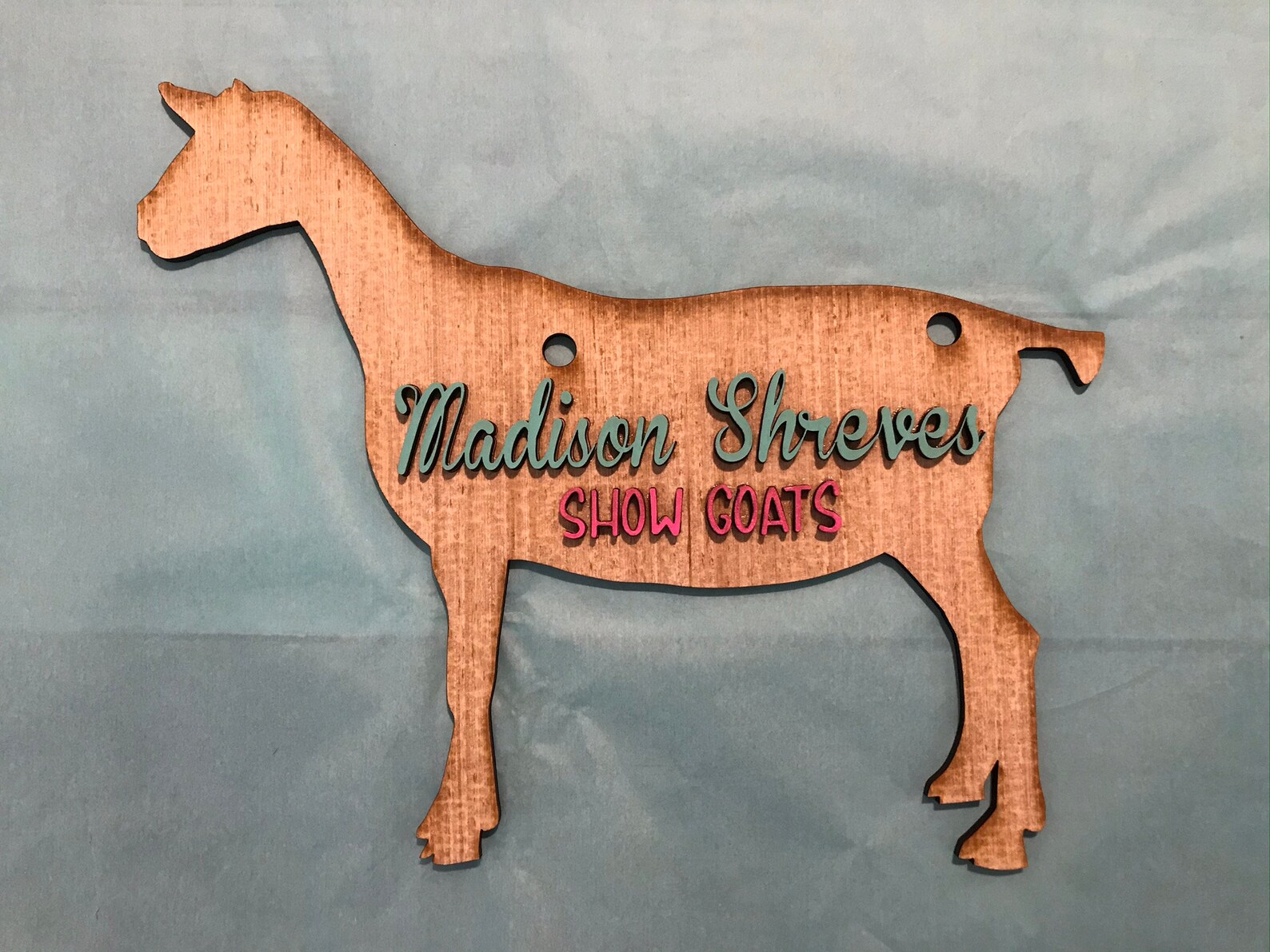 Show Goat Stall Sign, Wood Livestock Show Sign With 3D Raised Letters ...