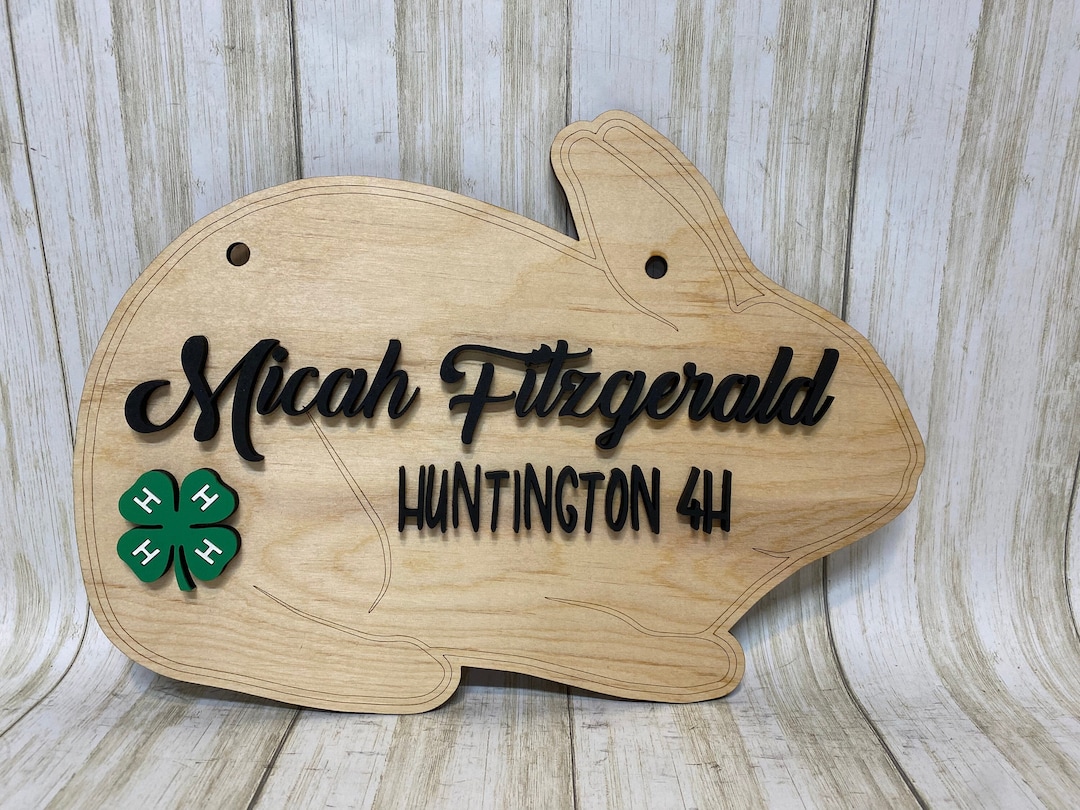 Show Rabbit Pen Sign, Custom Rabbit, Wood Livestock Show Sign With 3D ...