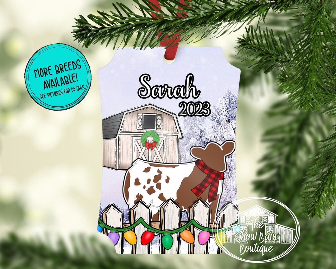 Show Steer or Heifer Christmas Ornament, Personalized Show Cattle ...