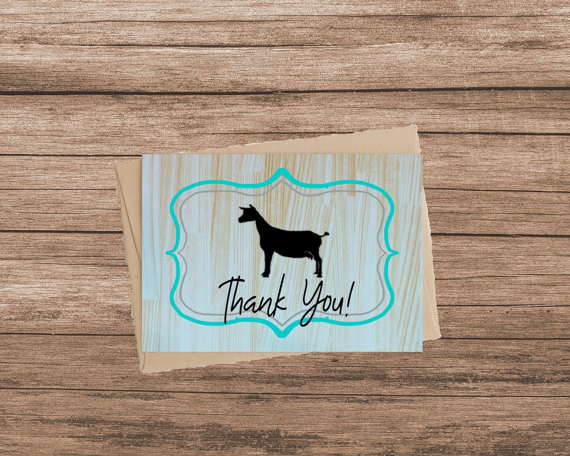 Show Goat, Goat Thank You Card, Dairy Goat, Nigerian Dwarf, Show Goat ...