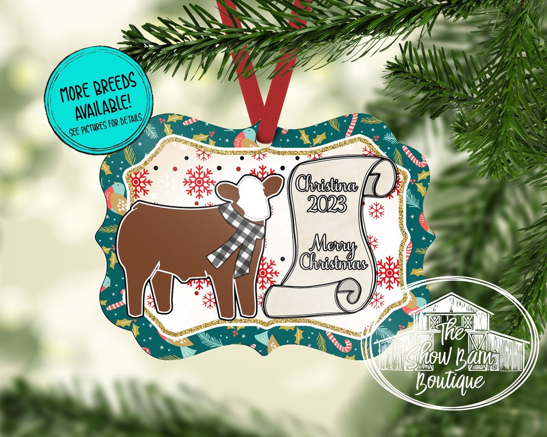 Show Steer Christmas Ornament, Show Cattle, Show Heifer, Livestock Show ...