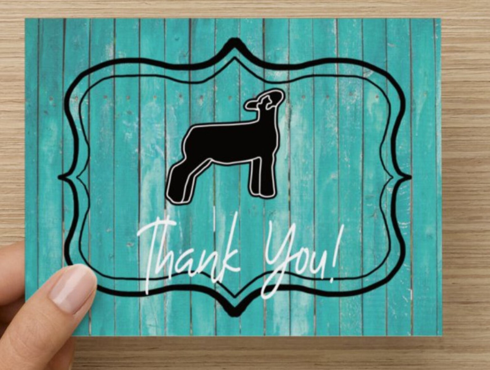 Show Lamb Show Sheep Lamb Thank You Card Show Lamb Card | Etsy