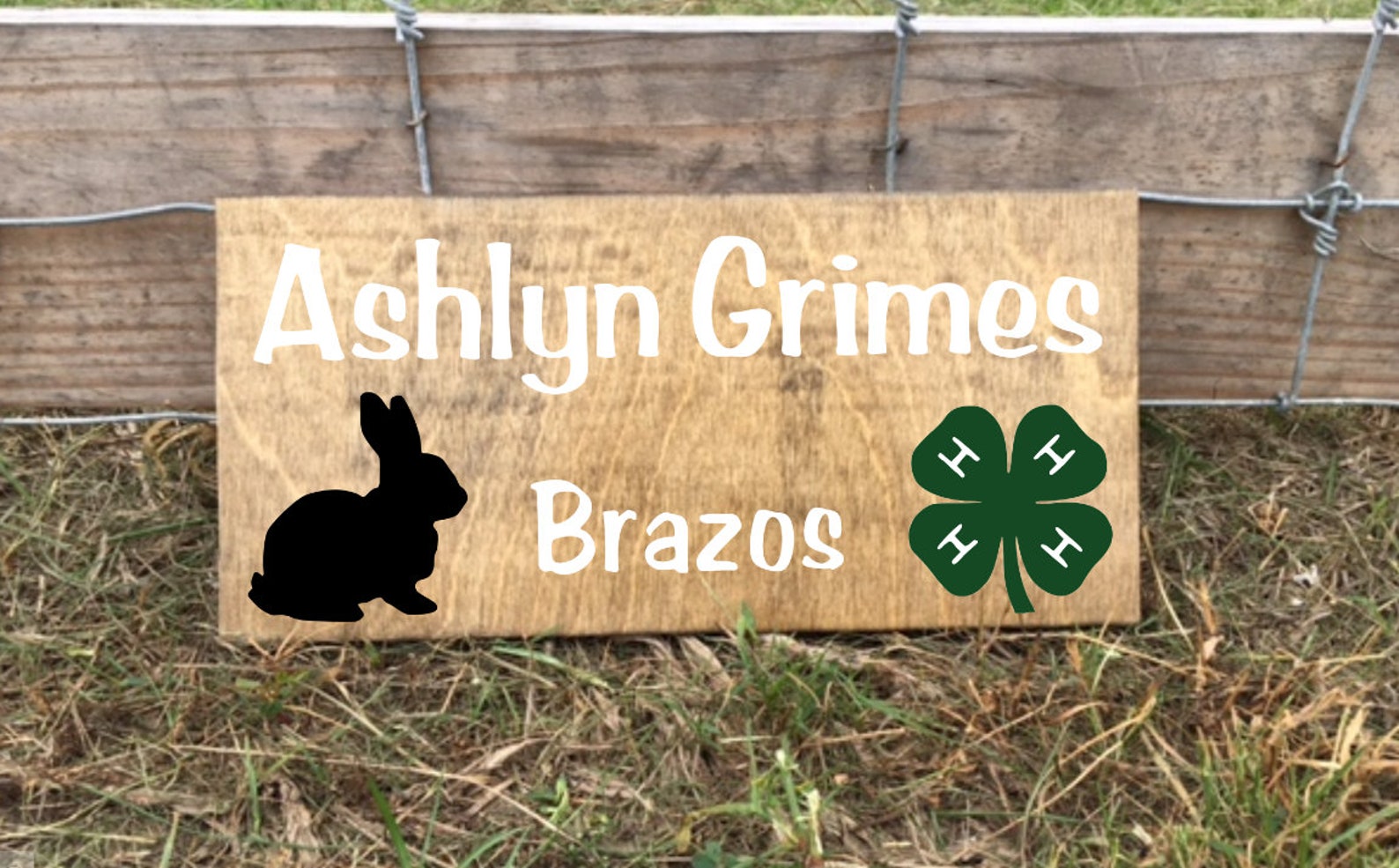 Show Rabbit Sign 4H Rabbit Show Rabbit Show Rabbit Sign | Etsy