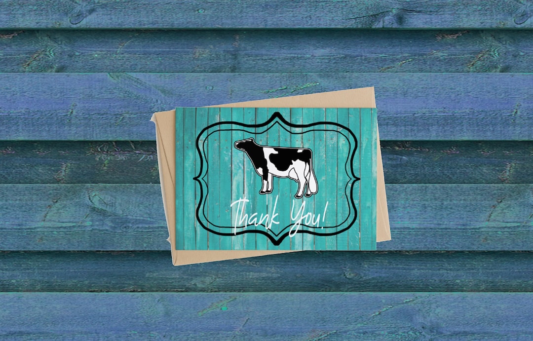 Holstein Cow, Dairy Cattle, Show Steer Thank You Cards for Livestock ...