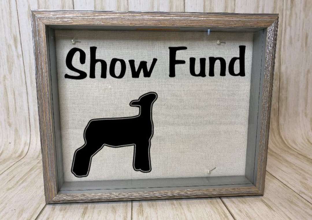 Show Lamb, Show Sheep, Show Fund Box, Livestock Show, Personalized Show ...