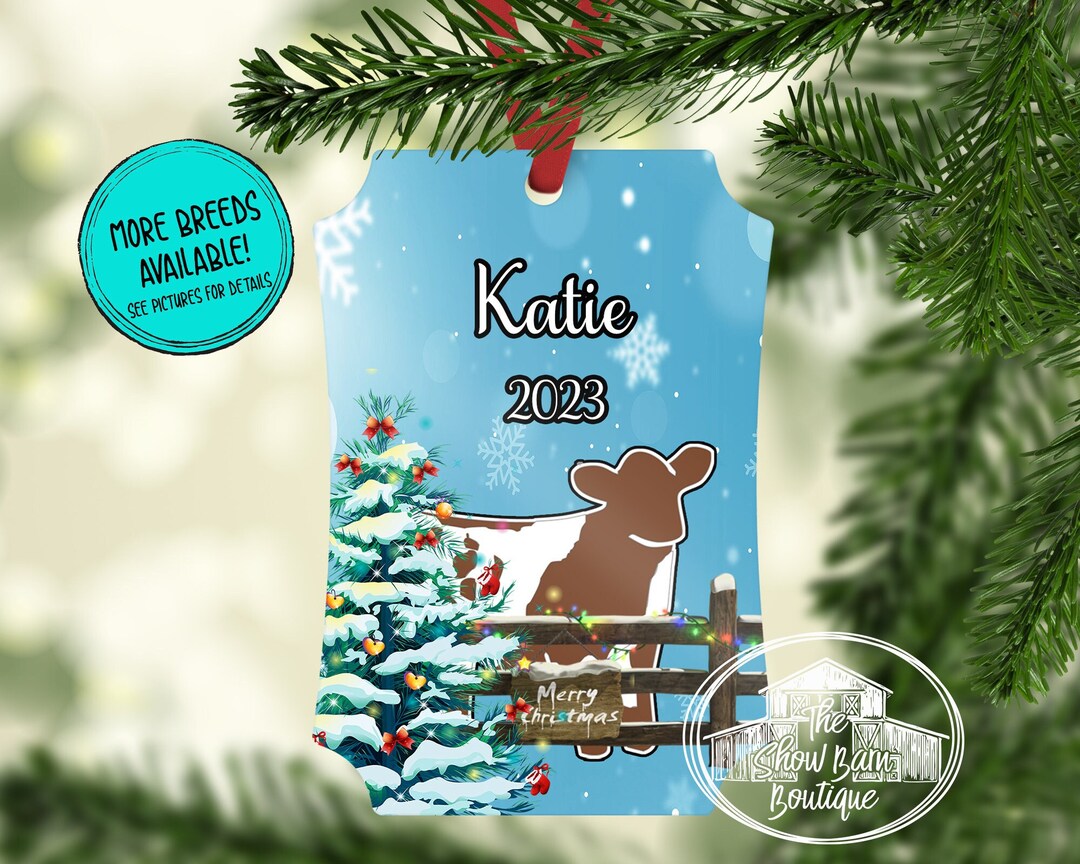 Show Steer Christmas Ornament, Show Cattle, Show Heifer, Livestock Show ...