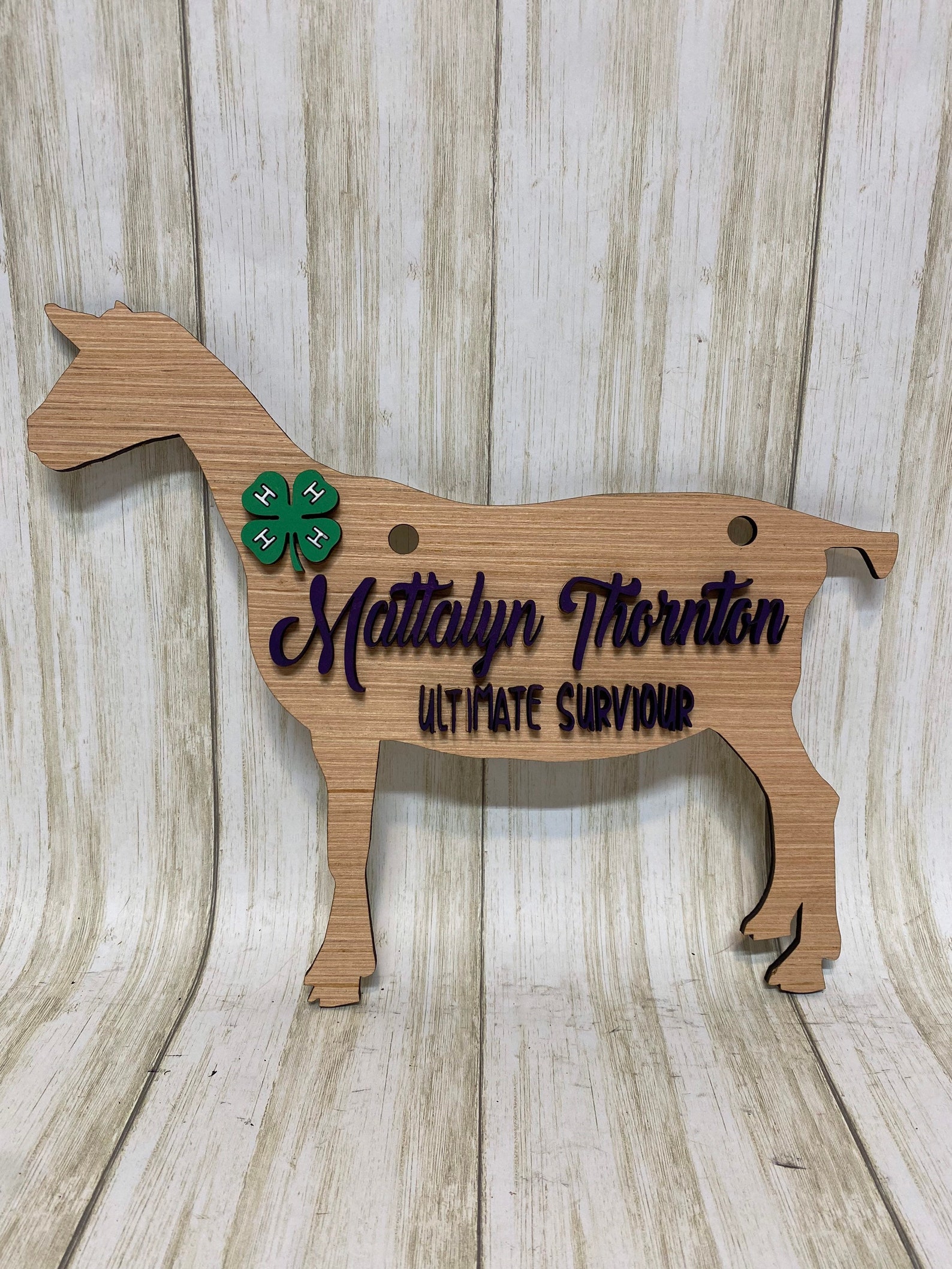 Show Goat Stall Sign, Wood Livestock Show Sign With 3D Raised Letters ...