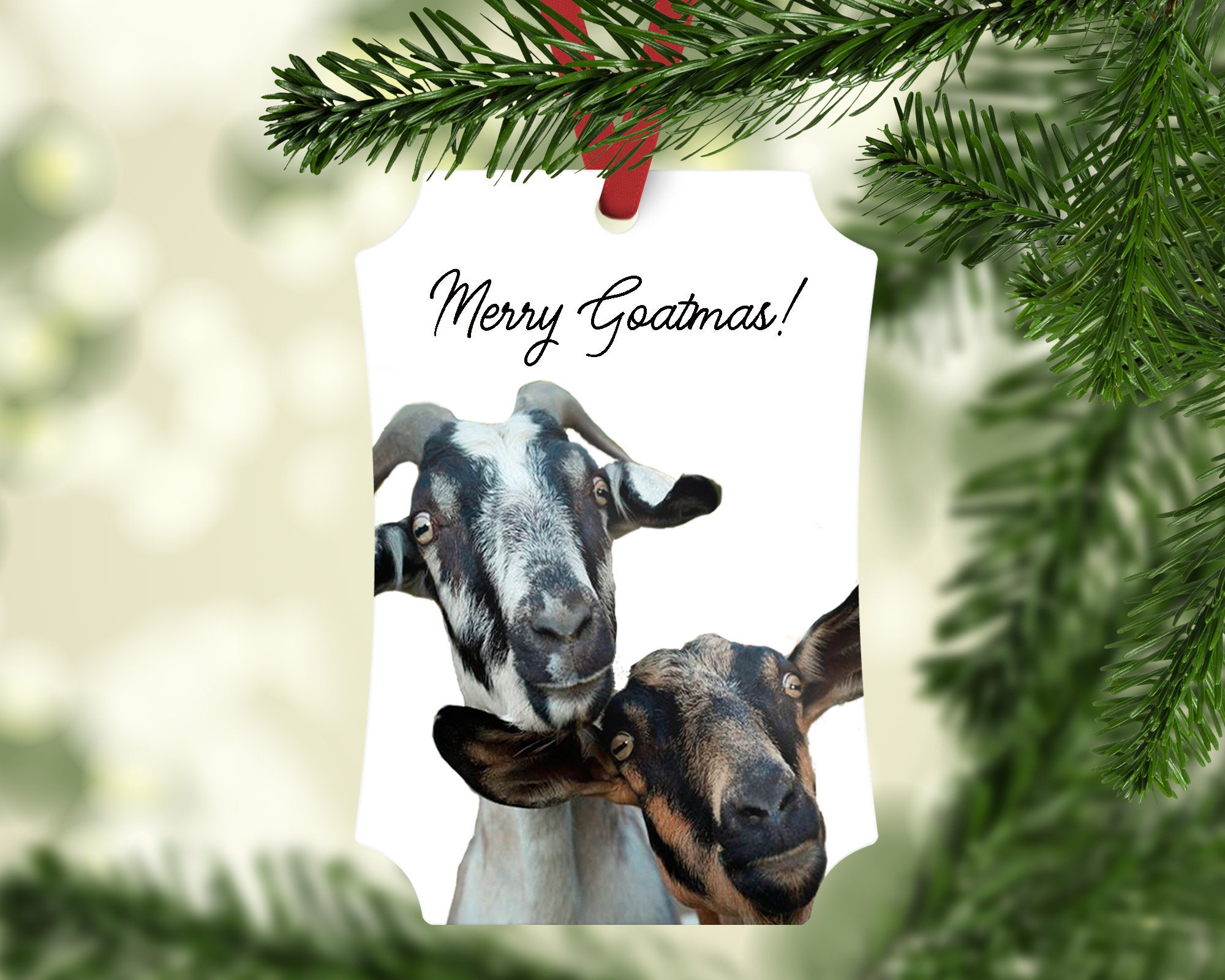 Personalized Show Goat Christmas Ornament, Livestock Show Ornament ...