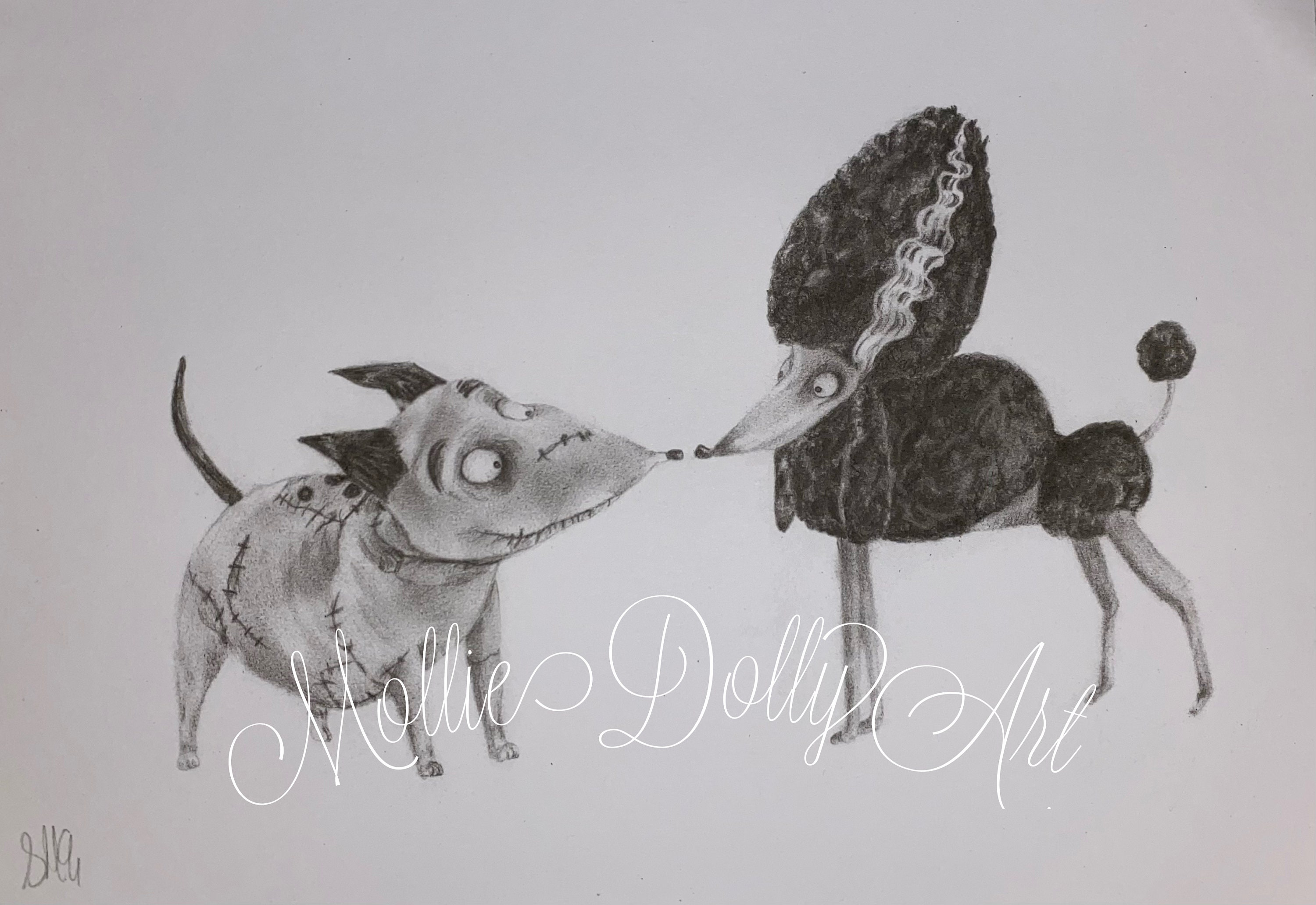 Frankenweenie Persephone Drawing