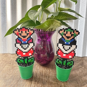 Large Retro Mario and Luigi Plant | Video Game Decor | Desk Plant ...