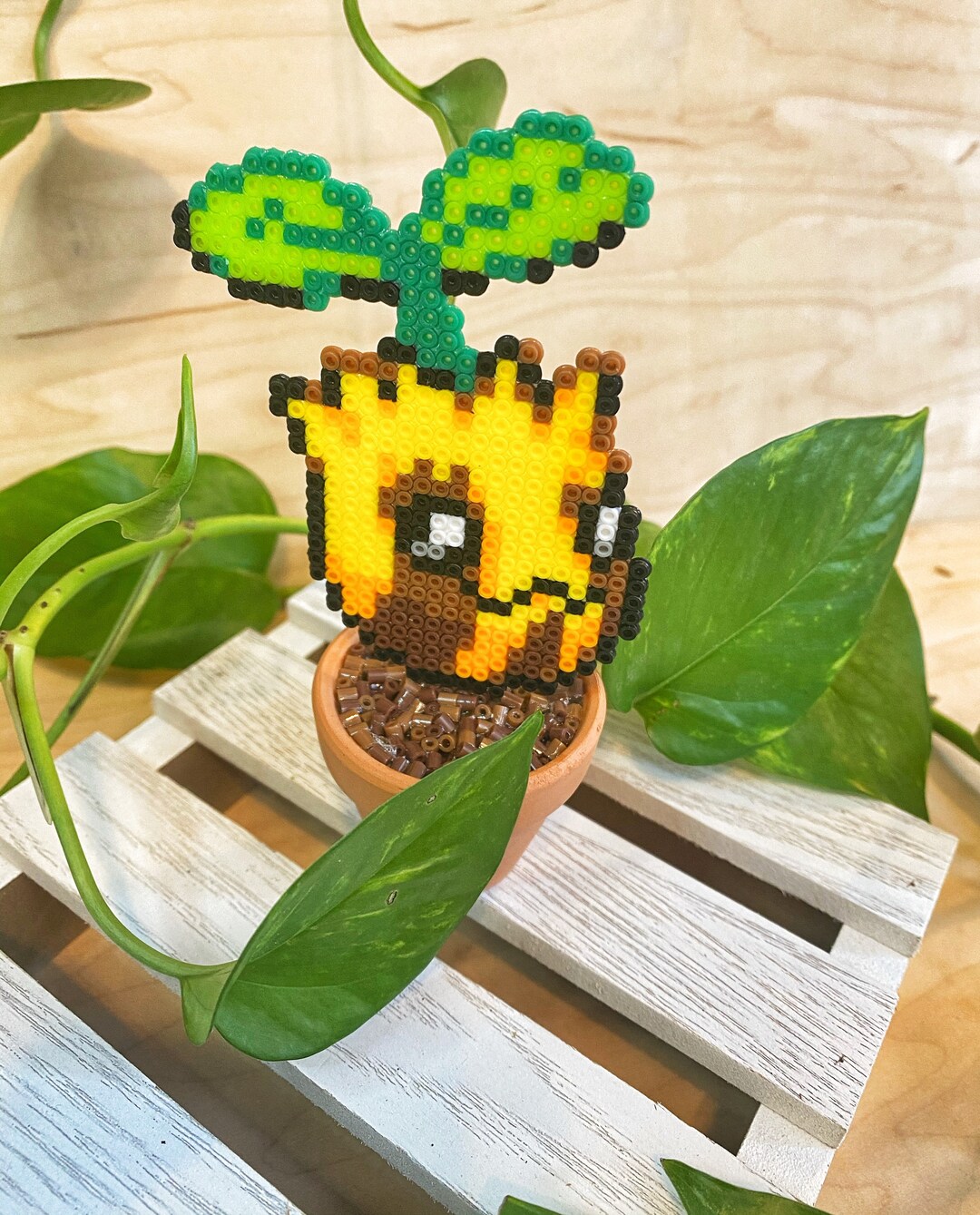Sunkern Pokemon Grass Plants | Video Game Decor | Desk Plant | Game ...