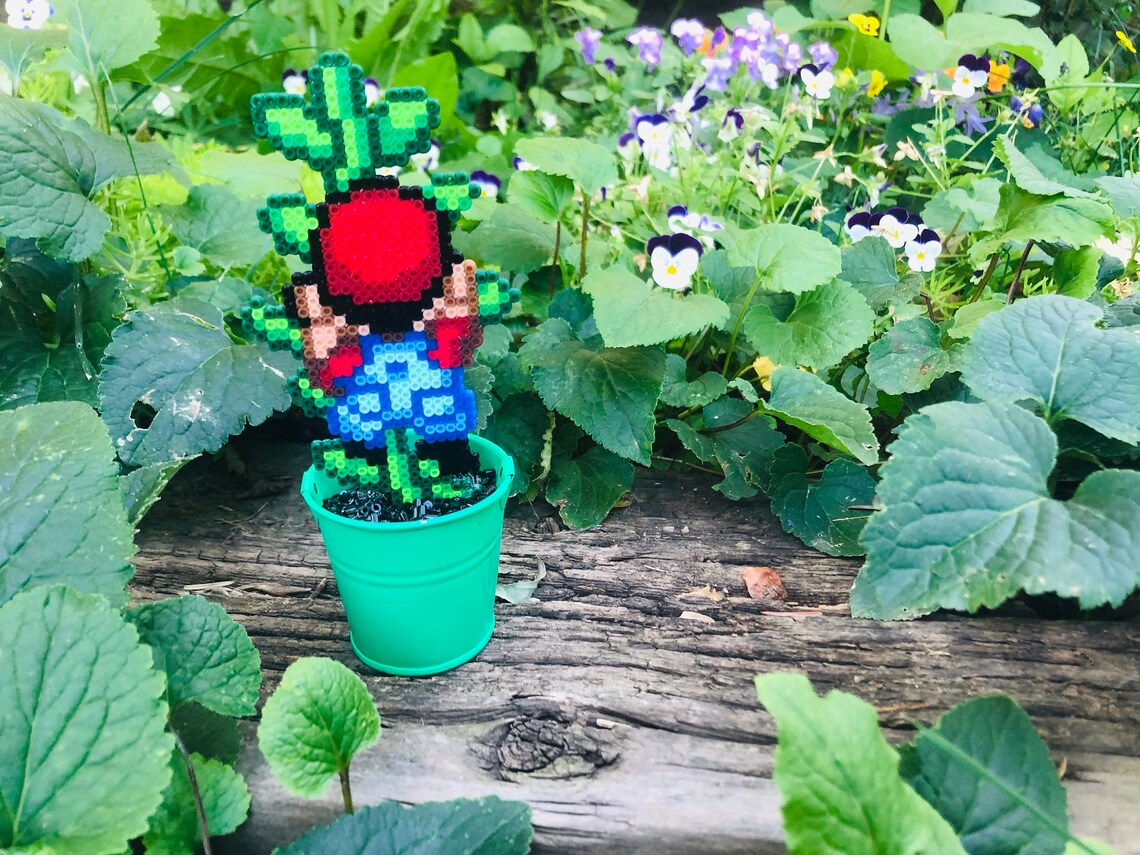 Climbing Mario Plants Video game decor Desk Plant Game | Etsy