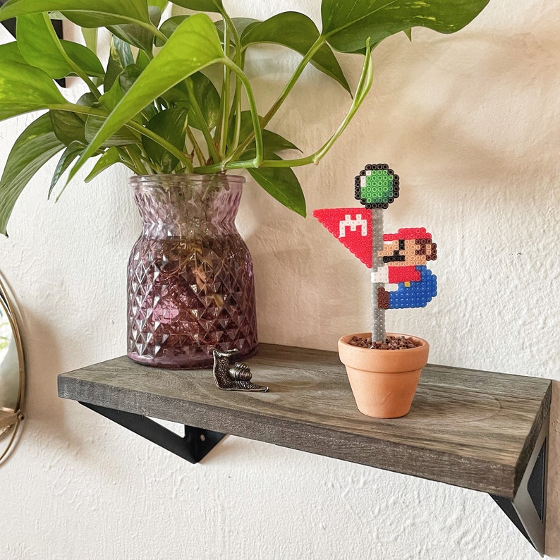 Super Mario Climbing Flagpole Video Game Decor Desk Plant - Etsy
