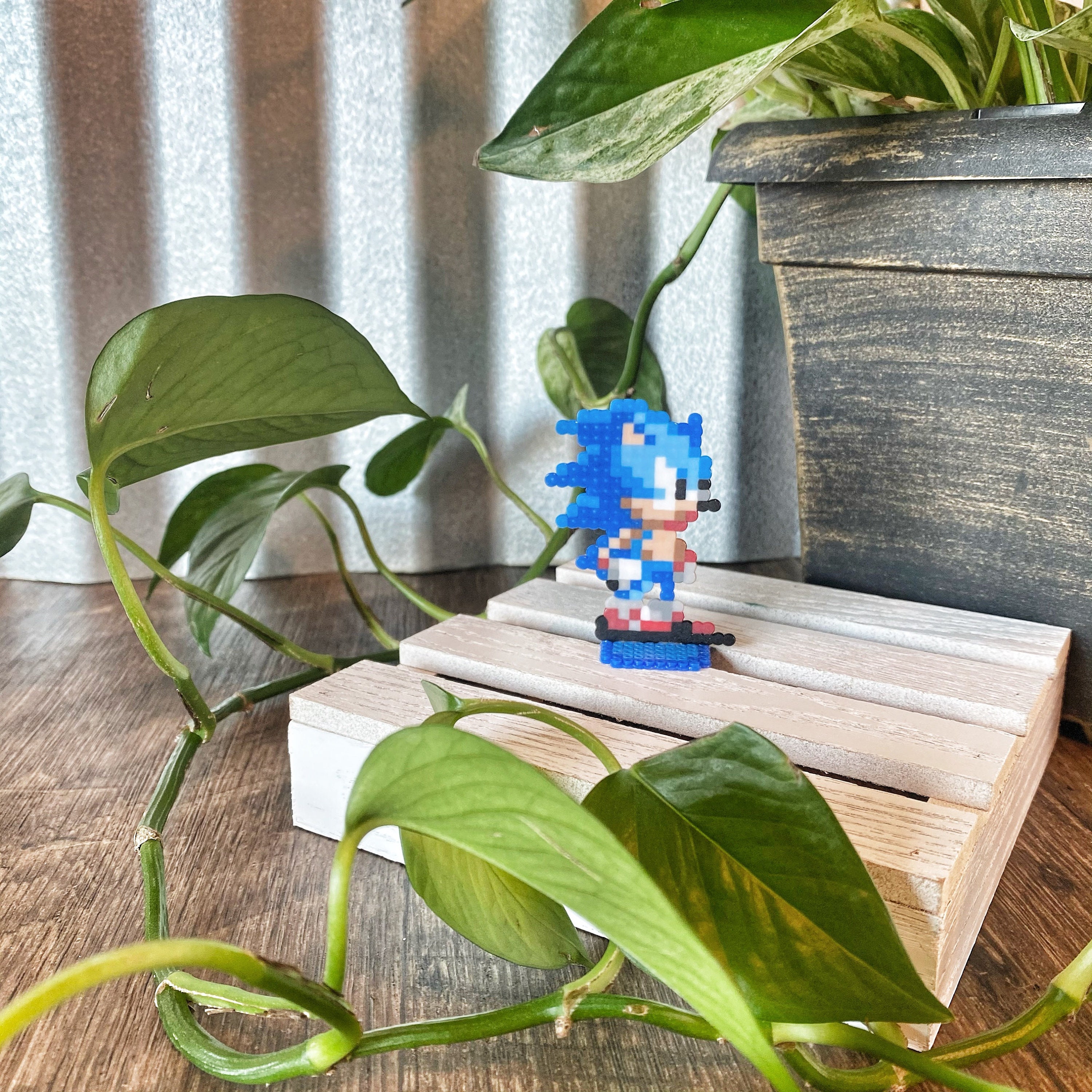 Sonic the Hedgehog 3D Video Game Decor | Retro Arcade Gaming Gifts ...
