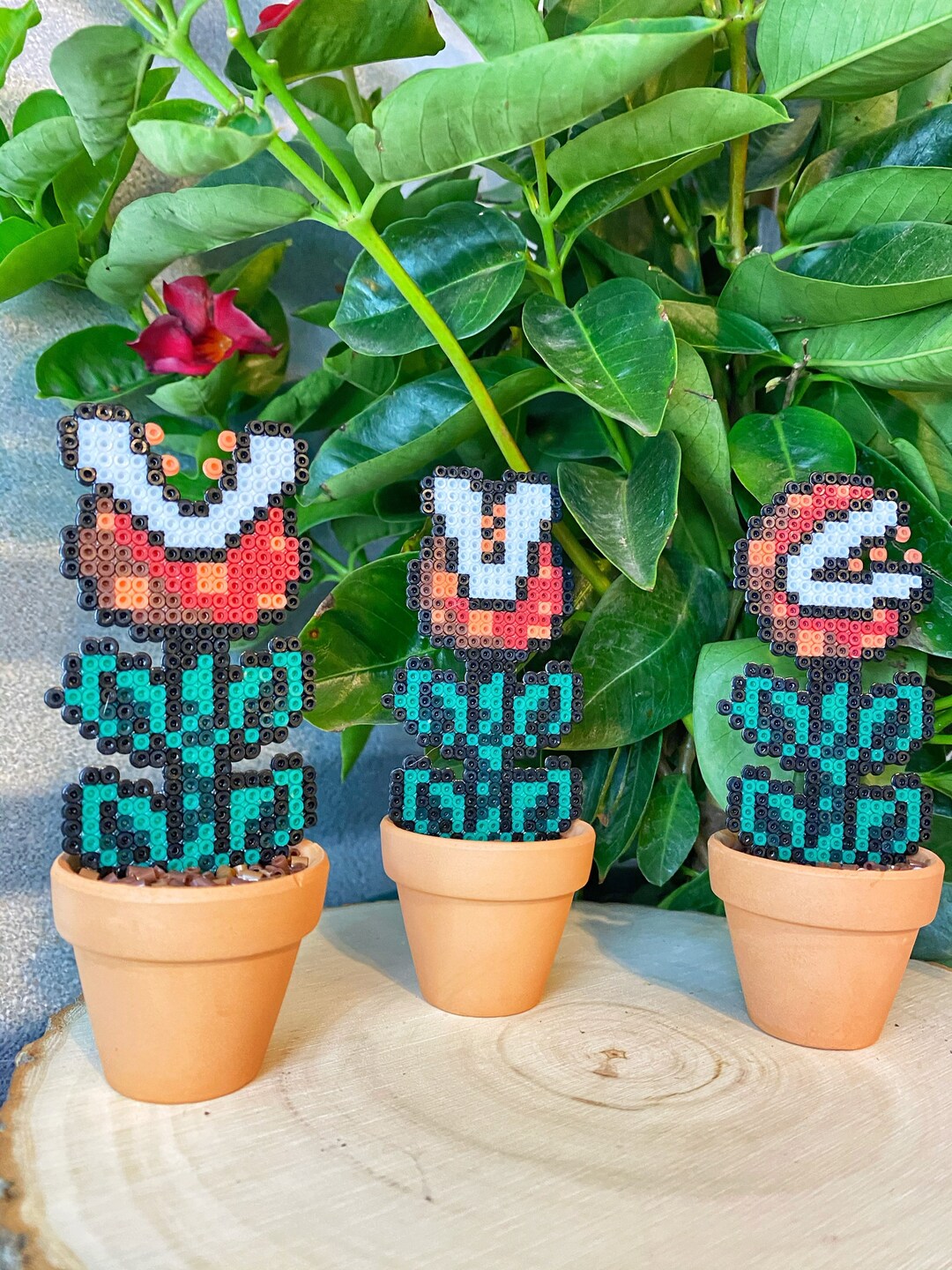Venus Fire Trap Mario Plants | Video Game Decor | Desk Plant | Game ...