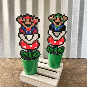 Large Retro Mario and Luigi Plant | Video Game Decor | Desk Plant ...