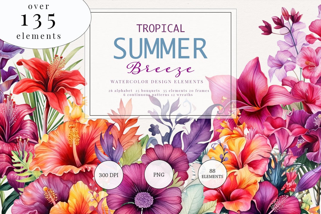 Tropical Floral Watercolor Clipart Bundle Summer Breeze - Etsy