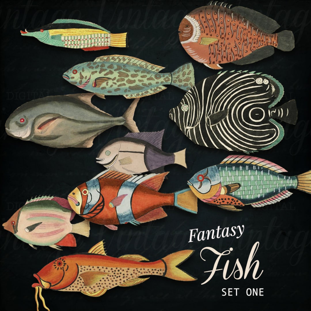 Vintage Fish Clipart Set One INSTANT DOWNLOAD Commercial Use Graphics ...