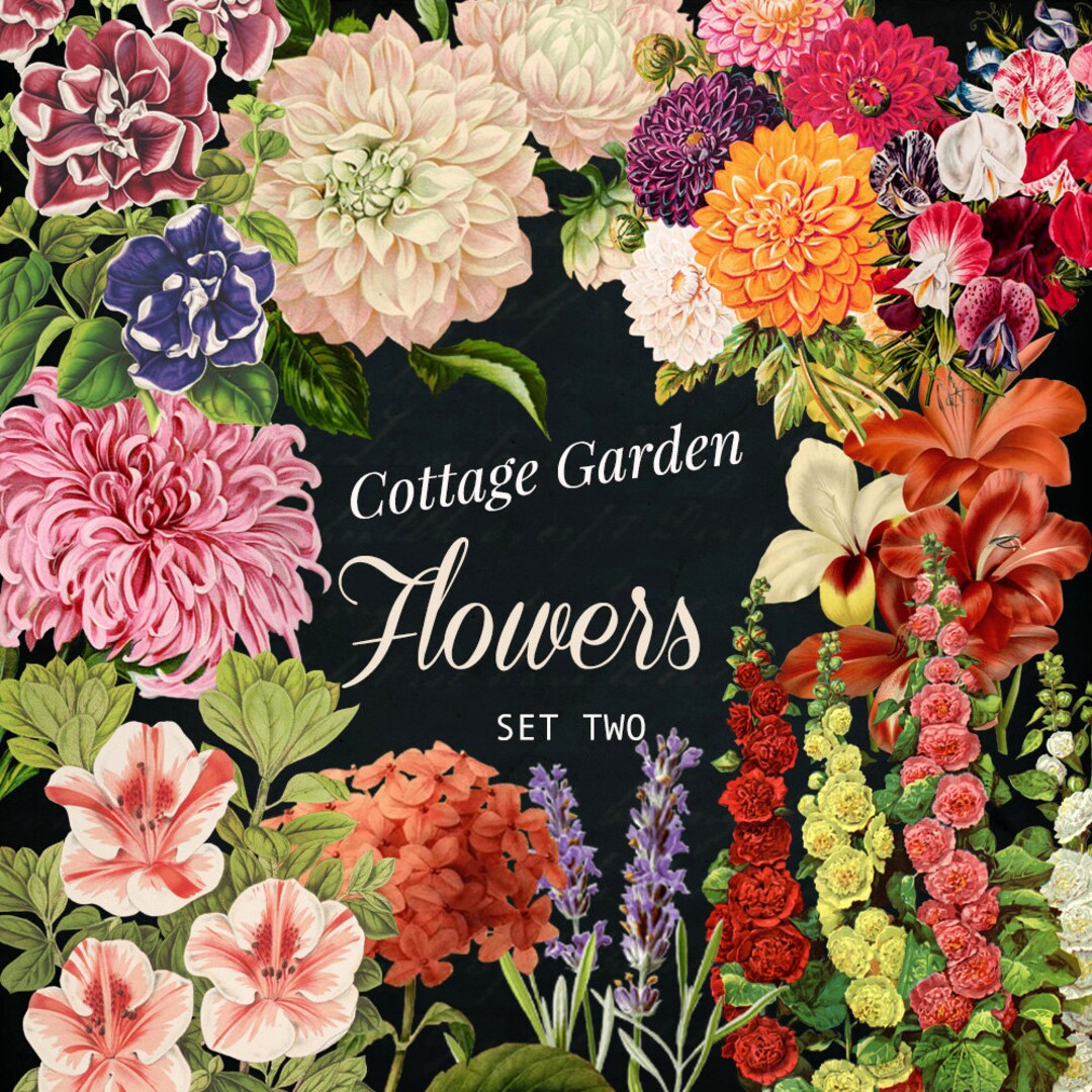 Vintage Cottage Garden Flowers Clip Art Set Two INSTANT DOWNLOAD ...
