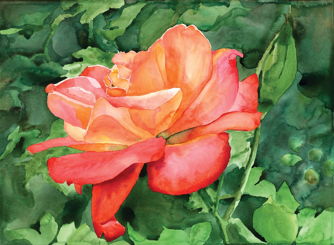 Joseph's Rose - Fine Art Print - Etsy