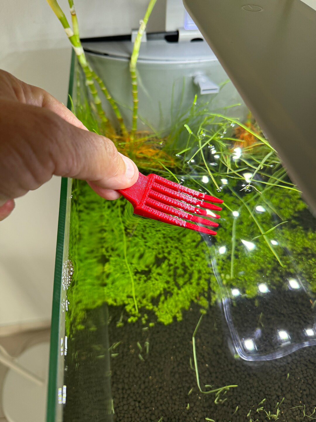 Aquarium Floating Plants Rake, Nano Aquarium, Planted Thank, Set of 2 ...