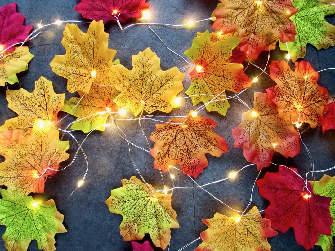 Autumn Fairy Lights. Fall Leaves String Lights. Cottagecore Room ...