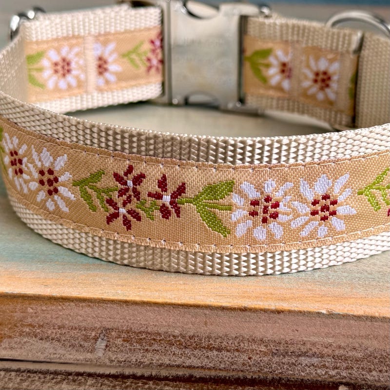Daisy Design Dog Collar - Etsy