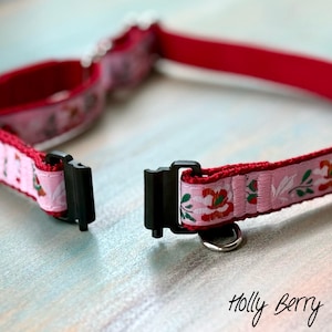 Fi 3 Tracker 3/4” Wide Dog Collar Replacement Strap for GPS Tracker ...