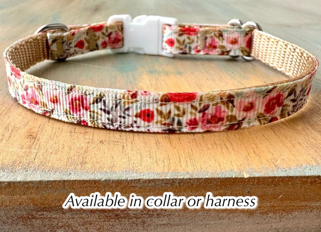 Summer Rose Breakaway Cat Collar or Walking H Style Cat Harness Floral ...
