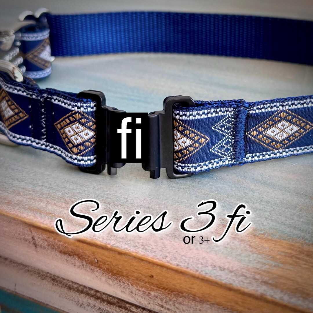 Fi 3 Dog Collar Replacement Strap Fi3 | Martingale or Flat | GPS ...
