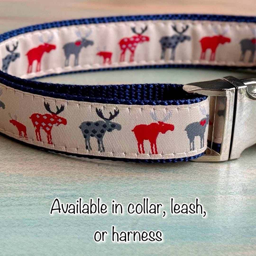 Blue Moose Dog Collar • Leash • or Step-in Harness • XS-XL • Beige ...
