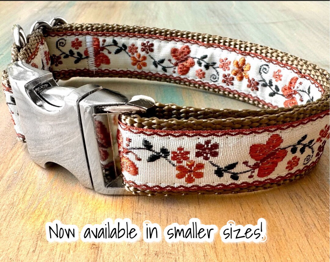 Brown Moth Dog Collar Dog Leash or Dog Harness Copper Dog Collar Boy or ...