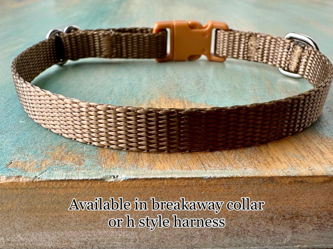 Simply Stylish Breakaway Cat Collar • or H Style Harness • 3/8” Nylon ...