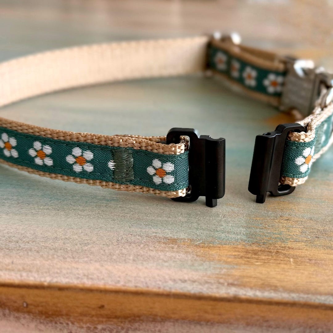 Fi 3 Tracker 3/4” Wide Dog Collar Replacement Strap for GPS Tracker ...