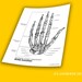 Human Hand Anatomy Bone Diagram Worksheet Set - Labeled, Unlabeled ...
