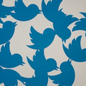 Large Twitter Bird Icon Shaped Die Cut 2 Inch Confetti - Etsy