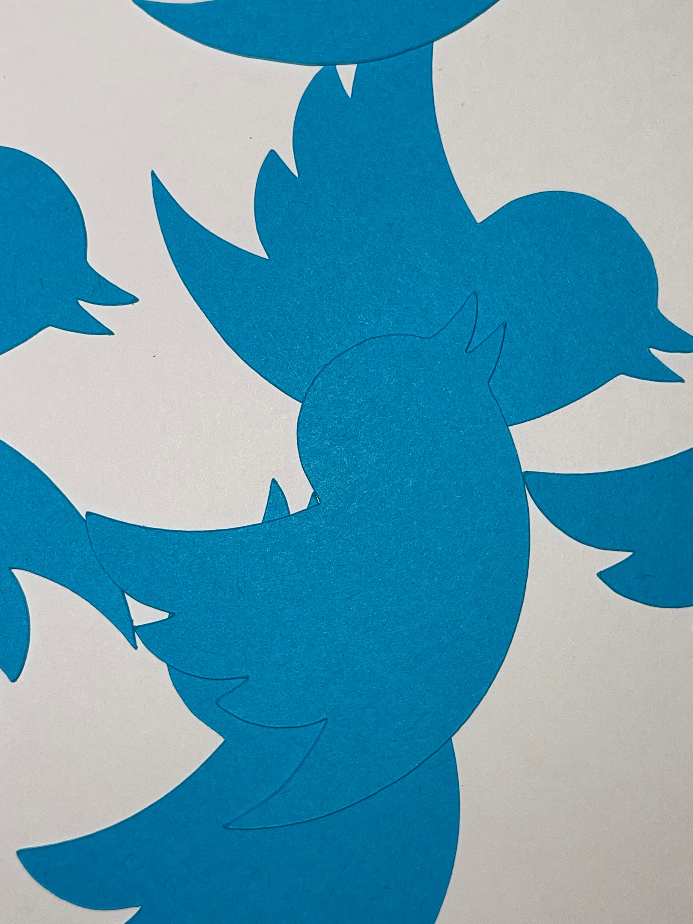 Large Twitter Bird Icon Shaped Die Cut 2 Inch Confetti - Etsy