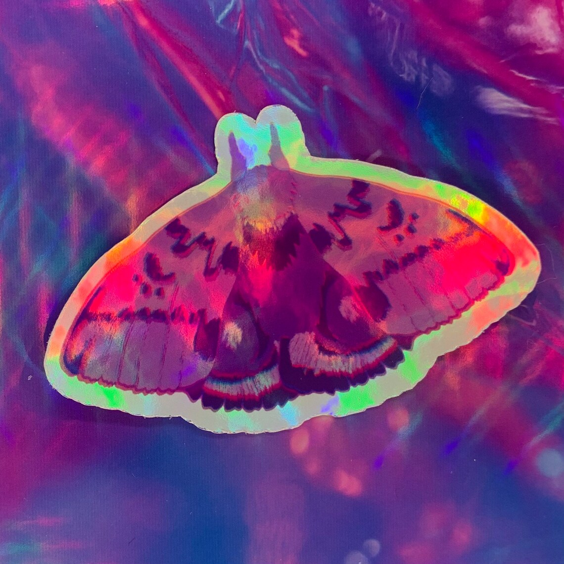Holographic Pink / Fuchsia Moth Sticker Psychedelic Trippy Insect Bug ...