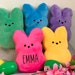 Personalized Plush Bunny, Inspired Peep Bunny, Personalized Peep ...