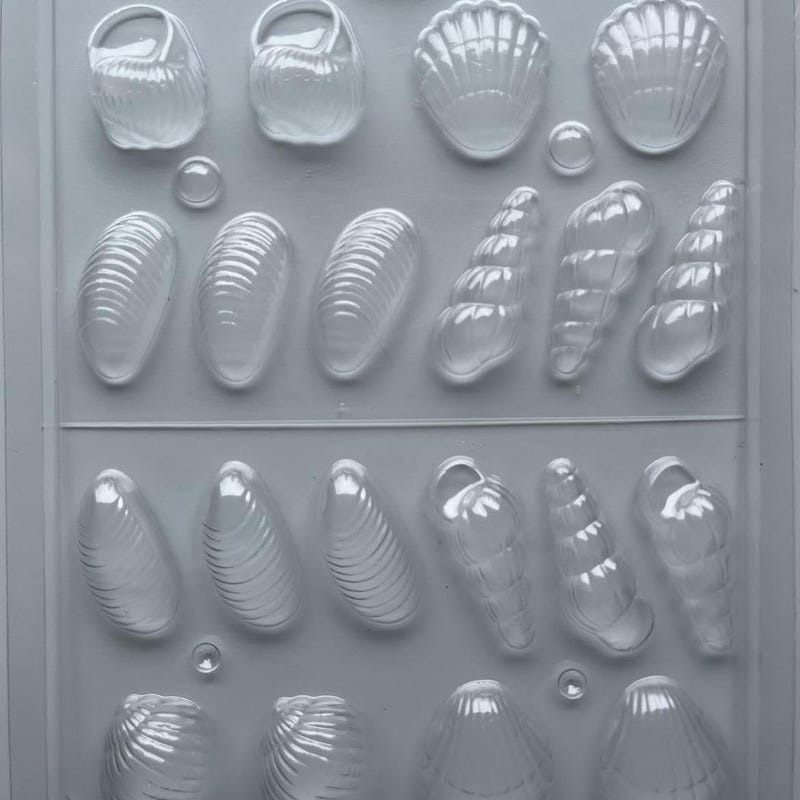 Chocolate Seashells - Etsy